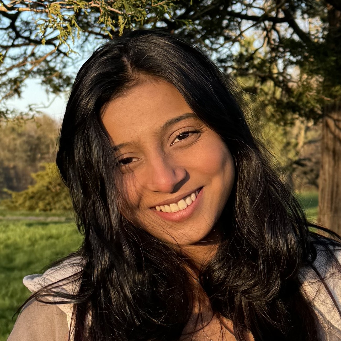 iConsult Team - College of Professional Studies